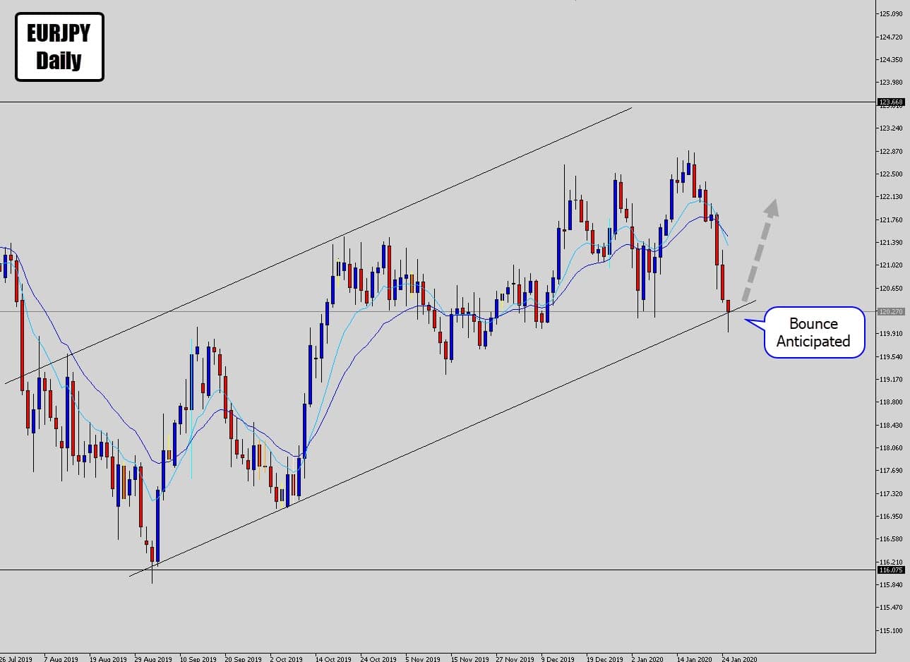 *HIGH PROFIT* Rejection Candle Reversal Trade Signal